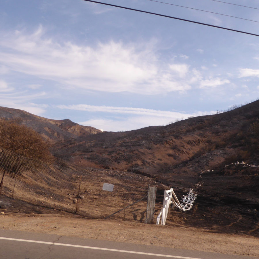 The Woolsey Wildfire – M'Online