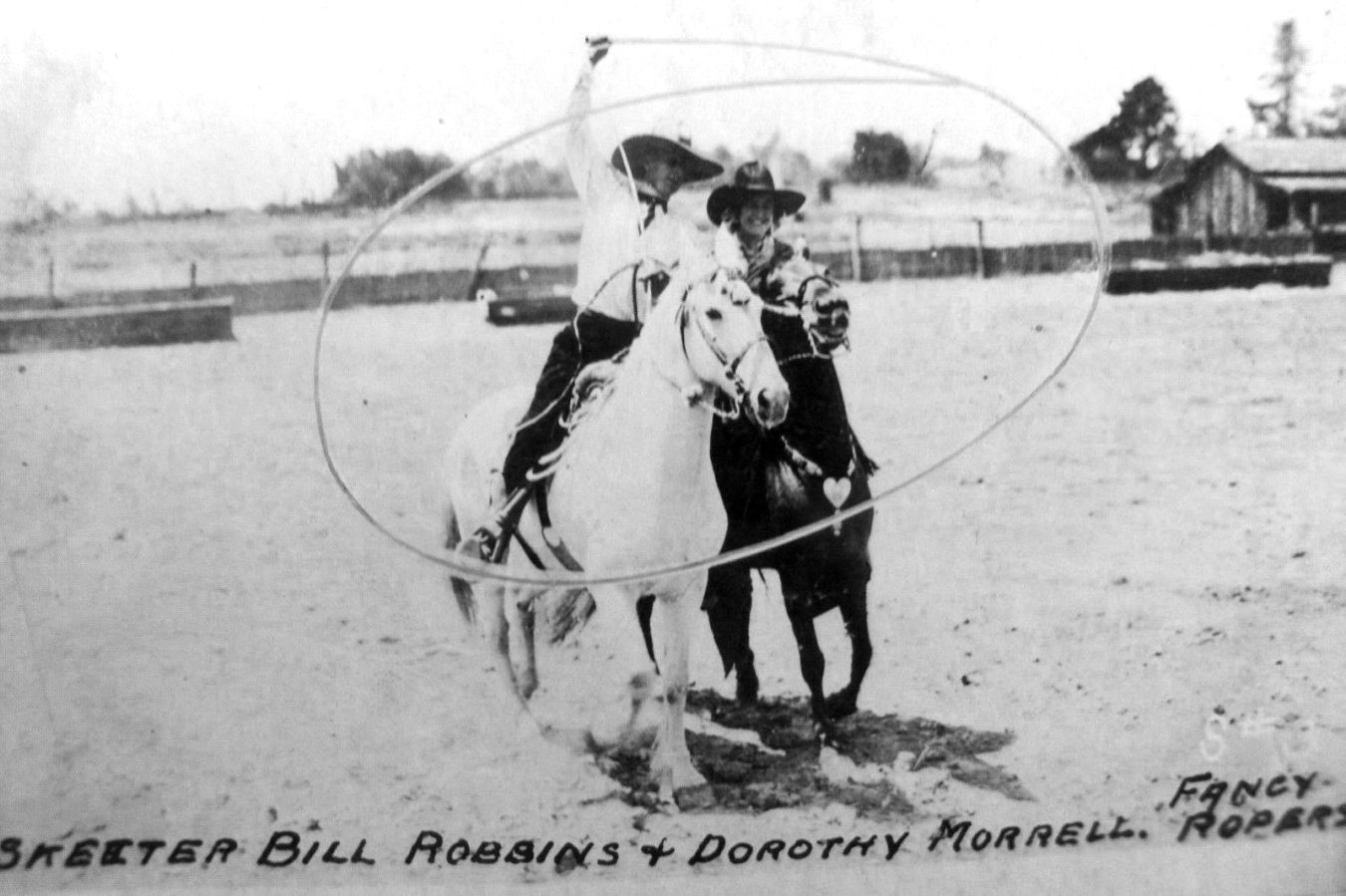 “A Bullfight Shuts Down the Rodeo Grounds” – M'Online